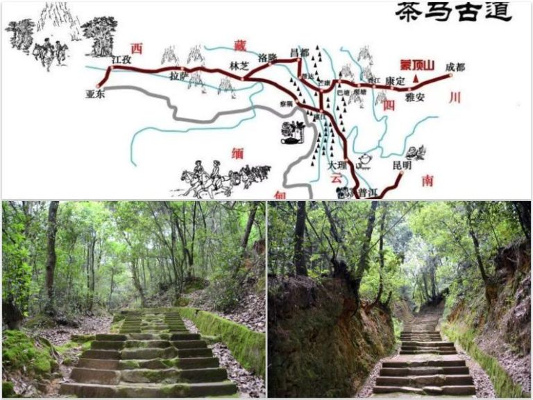 Exploring the Ancient Tea Horse Road: A Journey Through History and ...